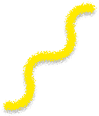 K12 Gallery & TEJAS – Creating Creativity